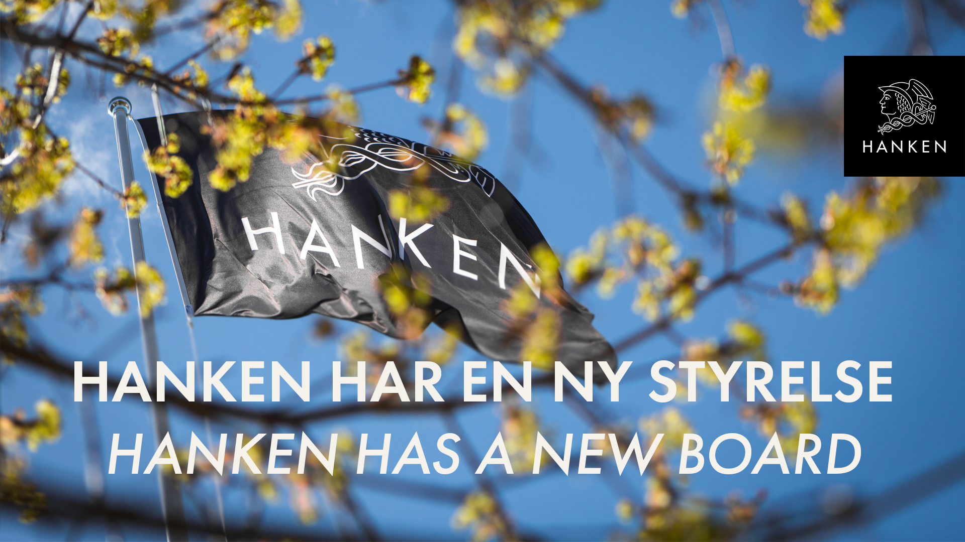 New Board elected to Hanken | Hanken