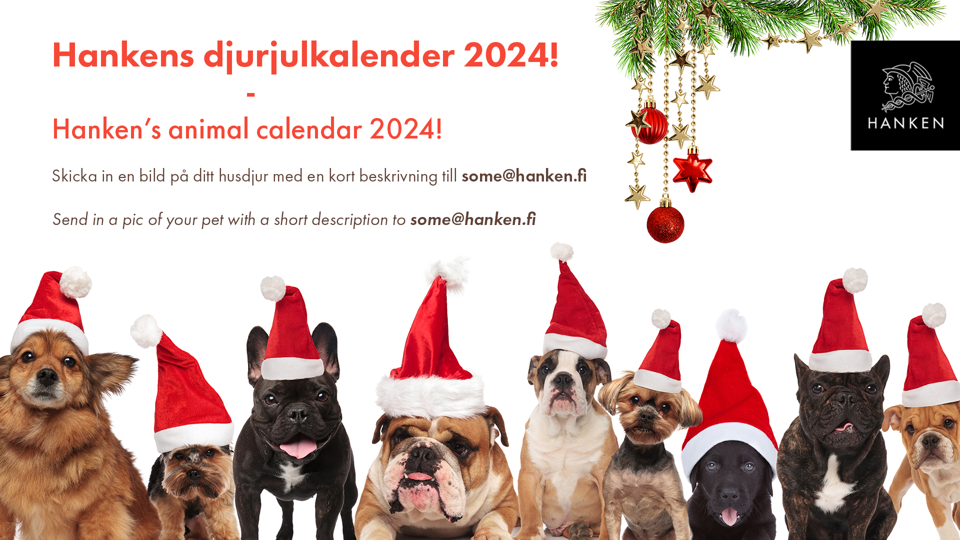 The Hanken Animal calendar 2024! | Hanken