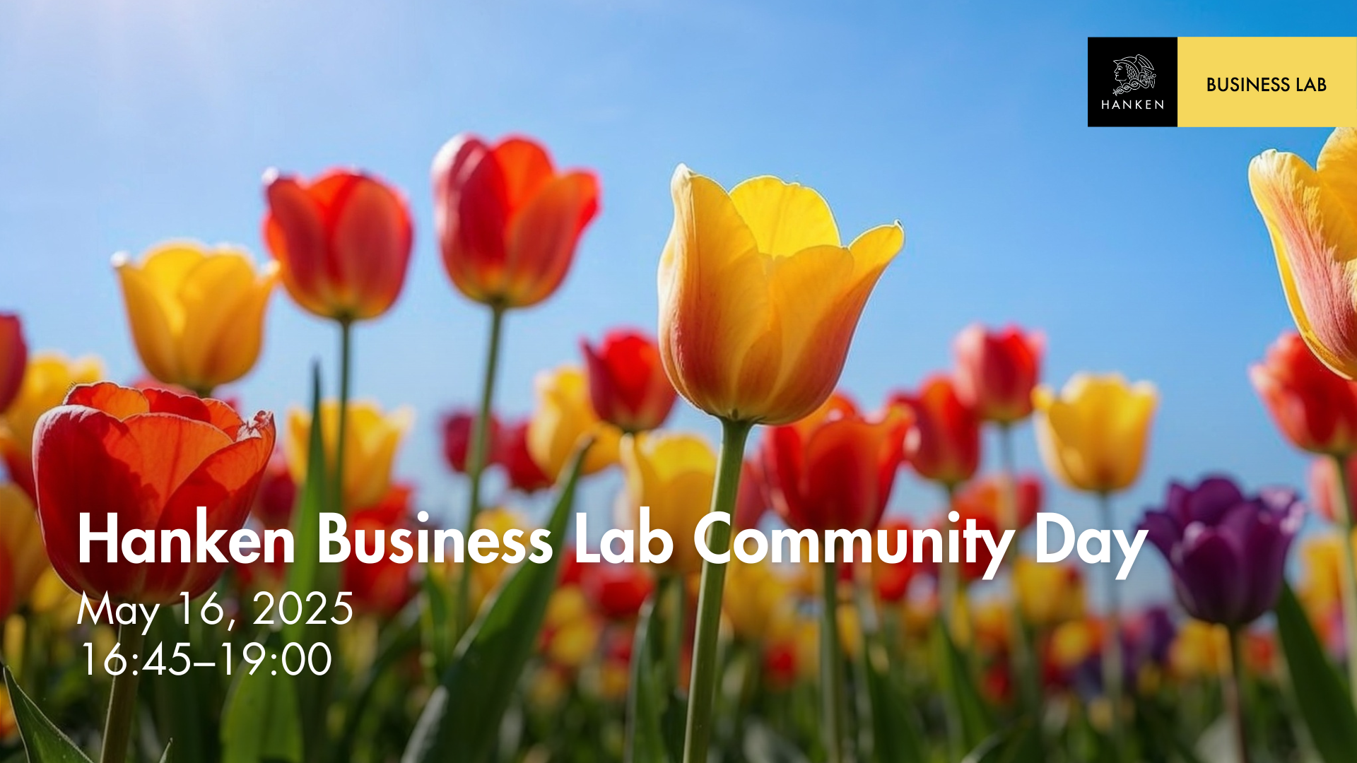 Hanken Business Lab Community Day | Hanken